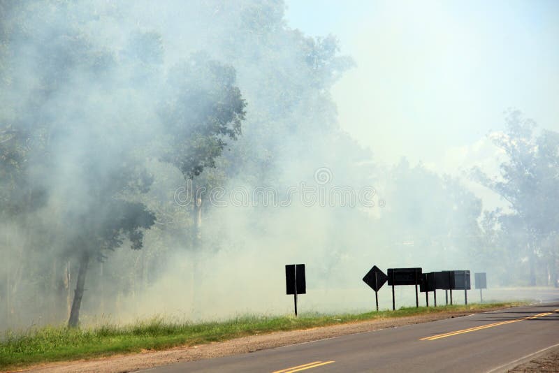 Road and fire stock photo. Image of travel, nature, flame - 17155592