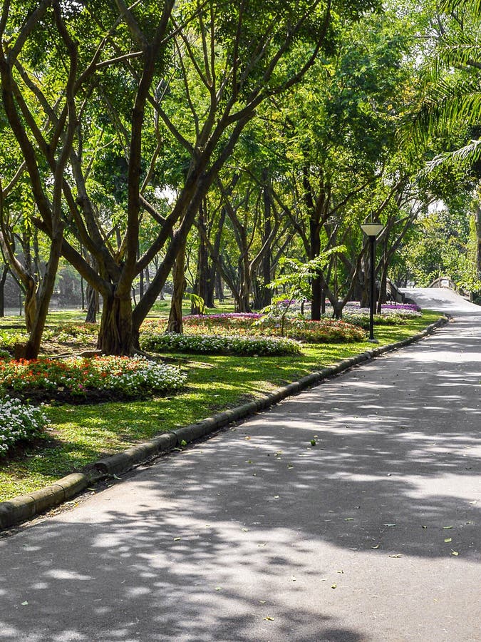 Road stock image. Image of landscape, pathway, beautiful - 55032437