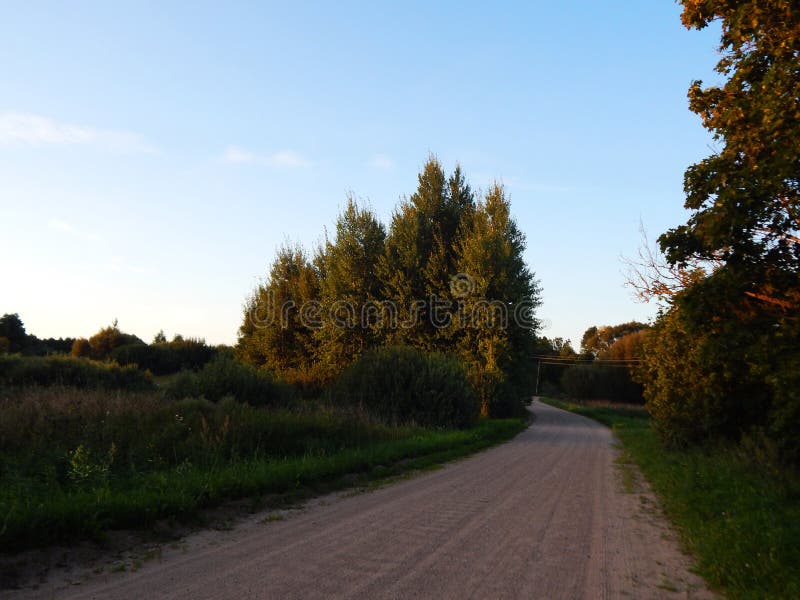 Road with Flowers between Trees Stock Photo - Image of garden, look ...