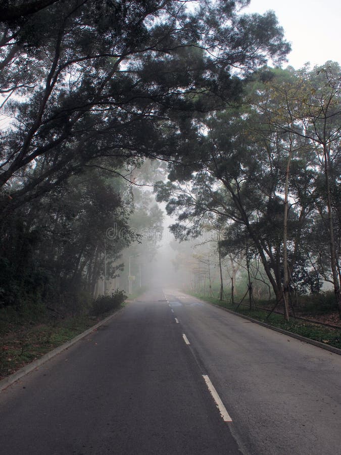 Road in Fog stock image. Image of humid, infrastructure - 12822529