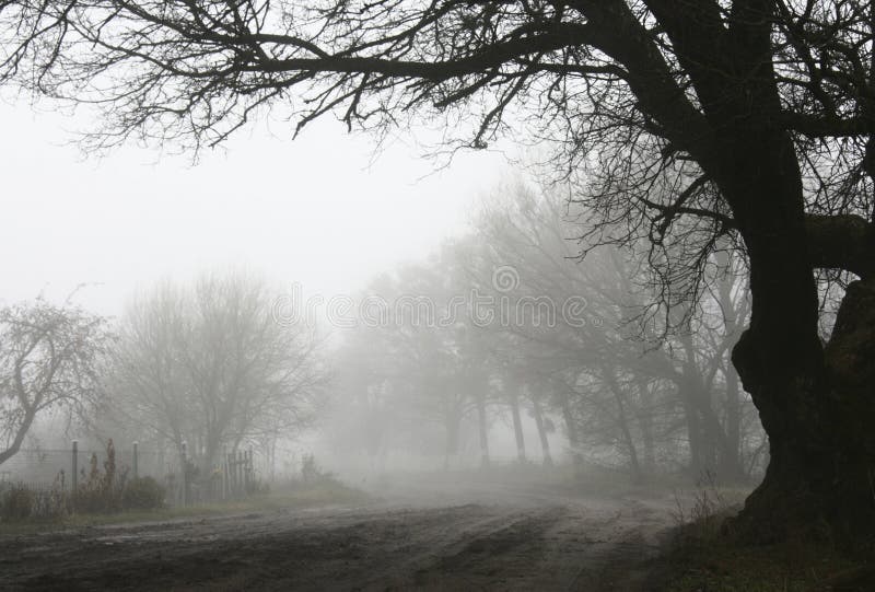 Road into the fog stock image. Image of path, outdoors - 55496065