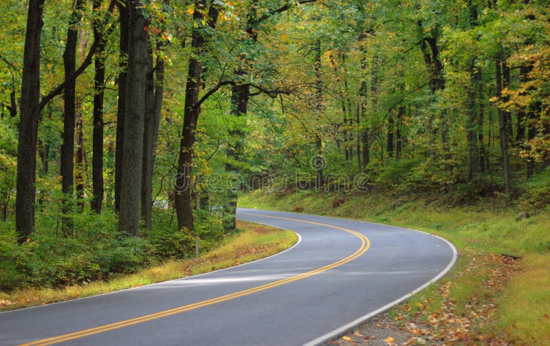Autumn Tunnel of Trees - Road Bend Stock Photo - Image of leaves ...