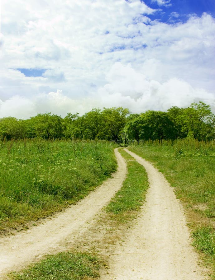 Road In Forest 2. Horizontal Stock Photo - Image of life, color: 14632634