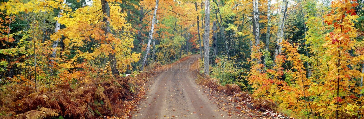 168 Forest American Scenes Stock Photos - Free & Royalty-Free Stock ...