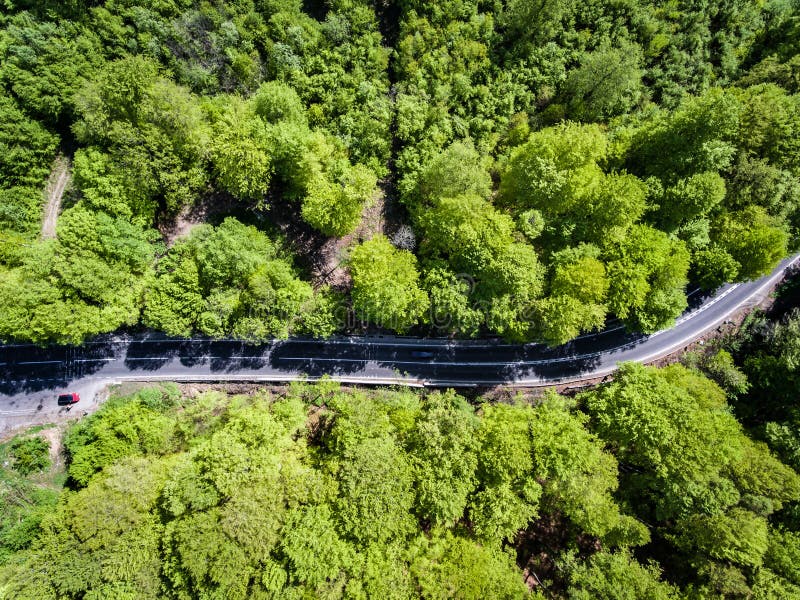 Road in the forest stock photo. Image of aerial, view - 92173492