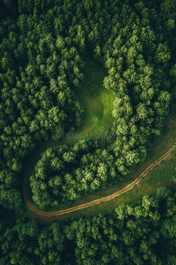 Road through Forest Aerial View Stock Photo - Image of nature, foliage ...