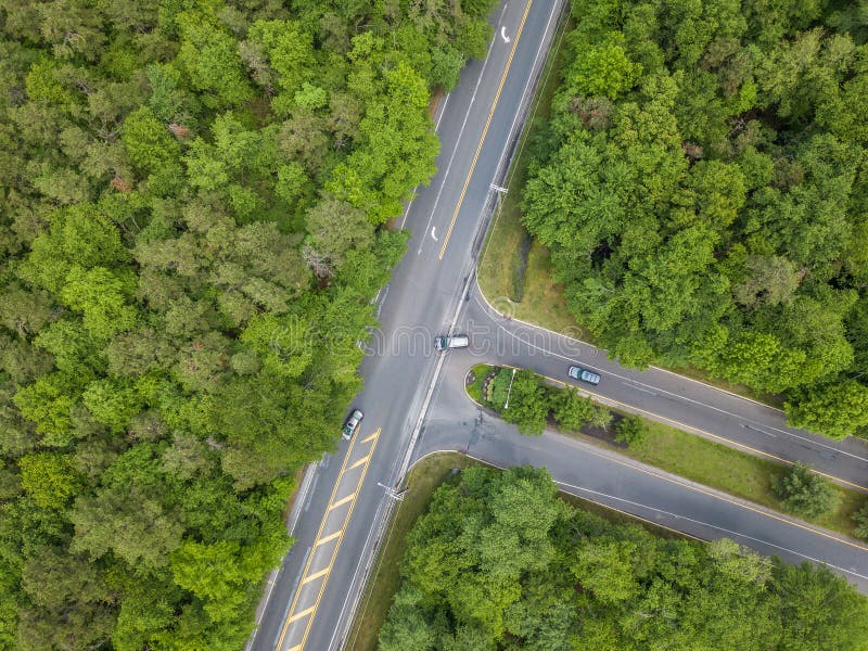Road in the forest stock photo. Image of natural, nature - 118208566