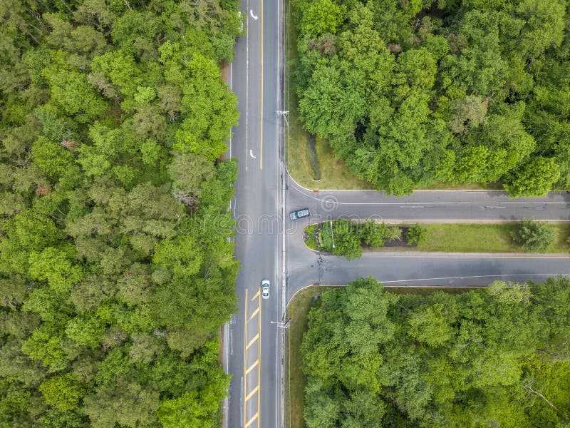 Road in the forest stock image. Image of countryside - 118208183