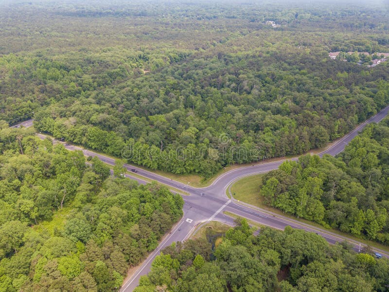 Road in the forest stock image. Image of green, beautiful - 118208531