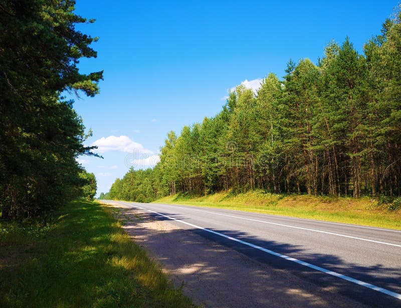 Road through the forest stock photo. Image of color, horizon - 68391680