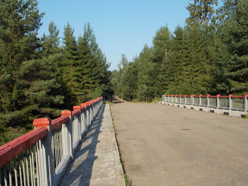 Road through the Forest Bridge Over the Stream Summer Day Stock Image ...
