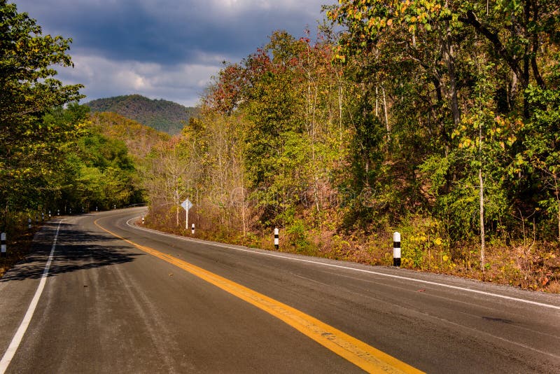 Road and Forest Color on Both Sides Stock Image - Image of grass ...
