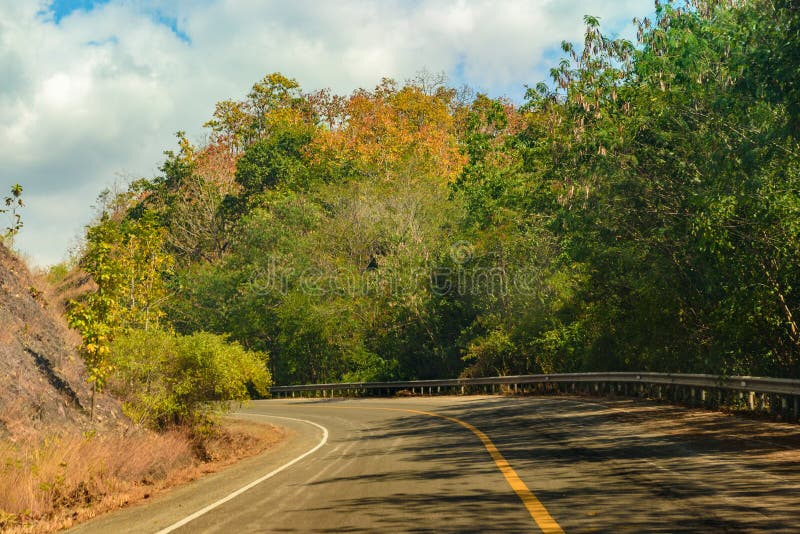 Road and Forest Color on Both Sides Stock Image - Image of alps, forest ...