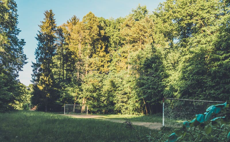 Road in the Forest Early Spring Morning Stock Photo - Image of outdoors ...
