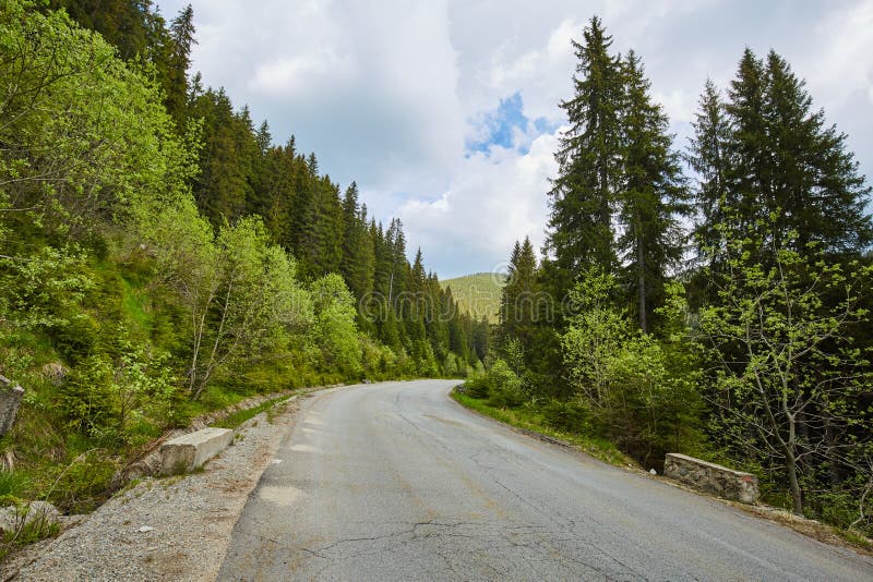 Road through the forest stock image. Image of high, range - 94499633