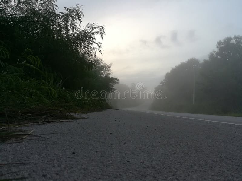 Road Forest Mist in Morning Stock Photo - Image of street, costume ...