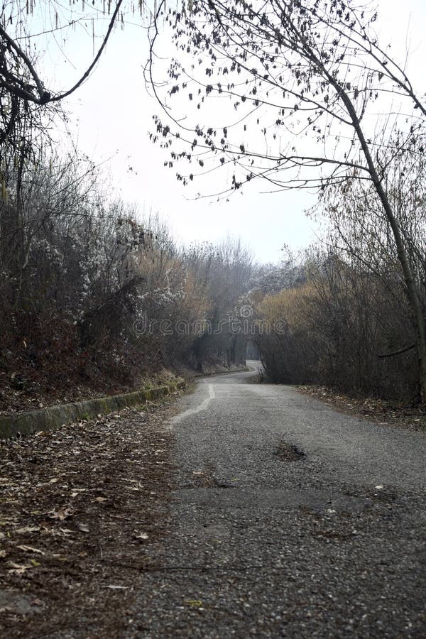Road in a Forest on a Mountain on a Cloudy Day Stock Photo - Image of ...