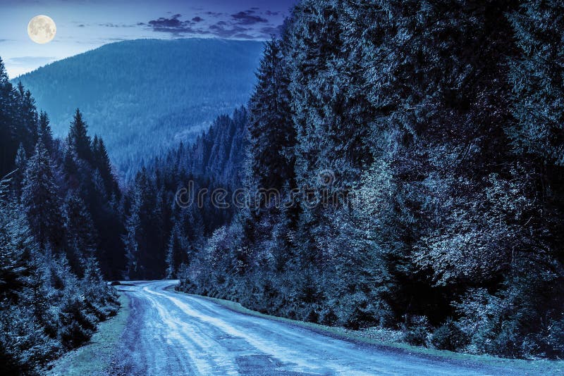 Road through the Forest in Mountains at Night Stock Photo - Image of ...