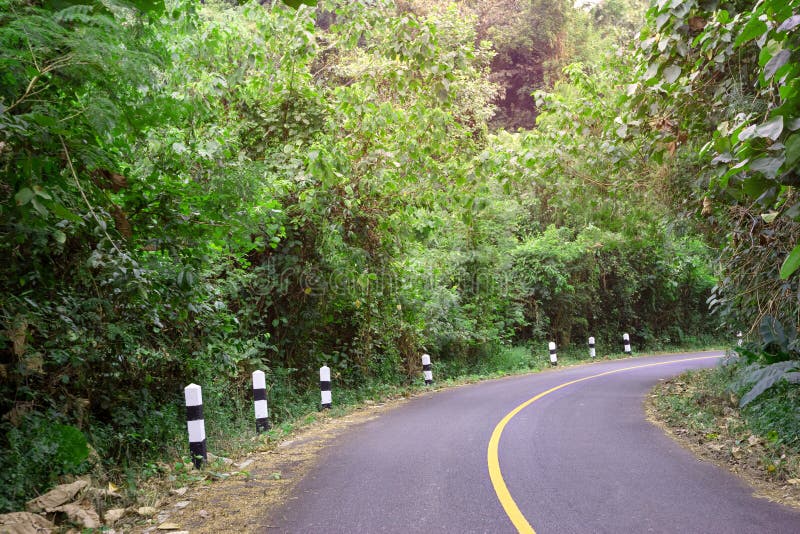 Road in the Forest with Safety Guard Stock Photo - Image of path ...