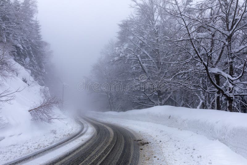 The Road through the Forest among Snow Covered Trees Stock Image ...
