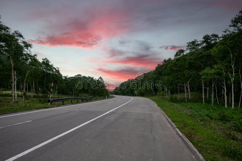 A Road through the Forest at Sunset Stock Image - Image of lane, forest ...