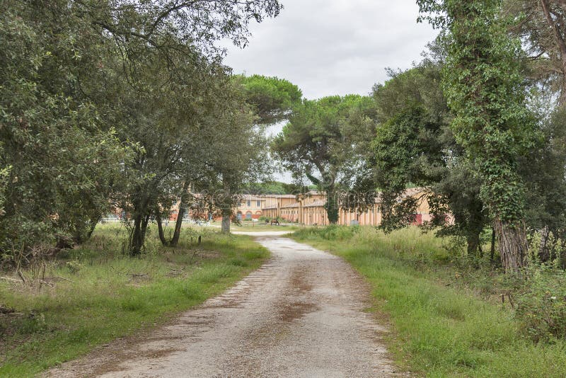 Road through the Forest To Old Stables, Italy Stock Photo - Image of ...