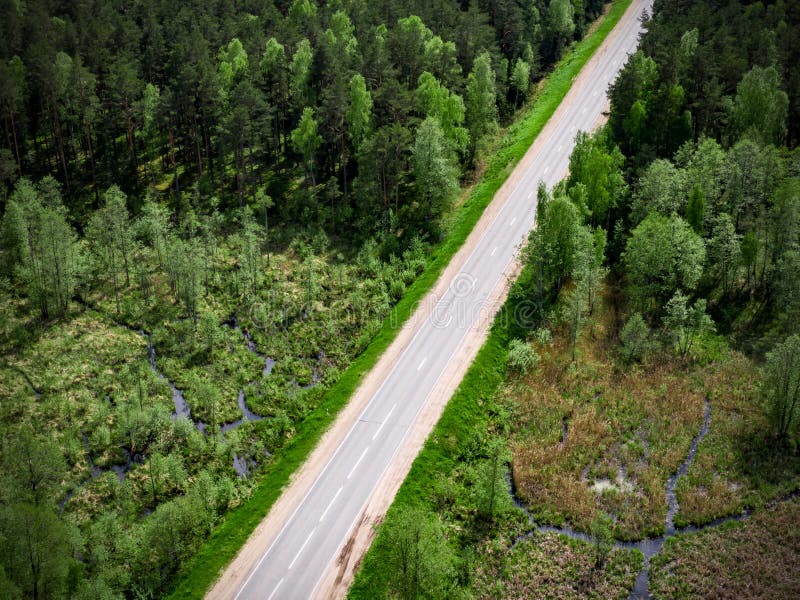 The Road through the Forest. Top View. Stock Photo - Image of beauty ...