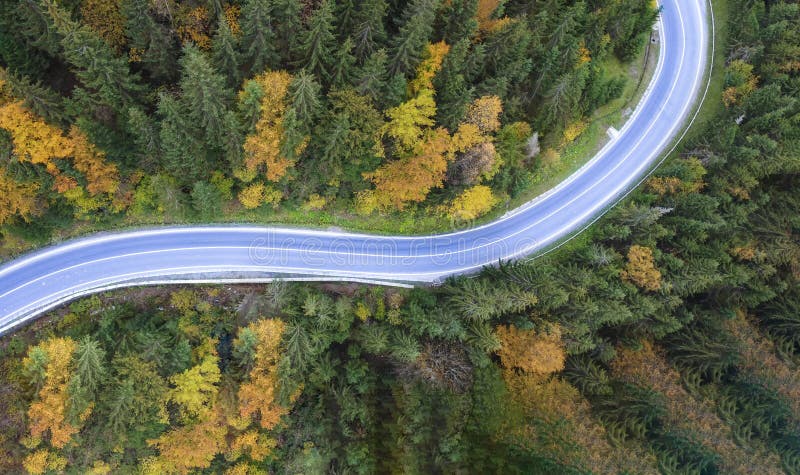 Road through the Forest, Top View, from a Bird S Eye View of a ...