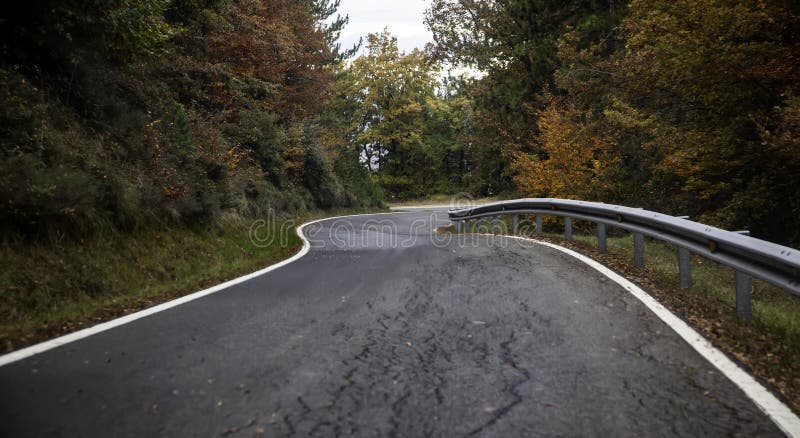 Road through forest stock photo. Image of scenic, plant - 201446436