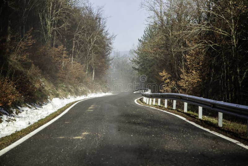 Road through forest stock image. Image of path, green - 211403315