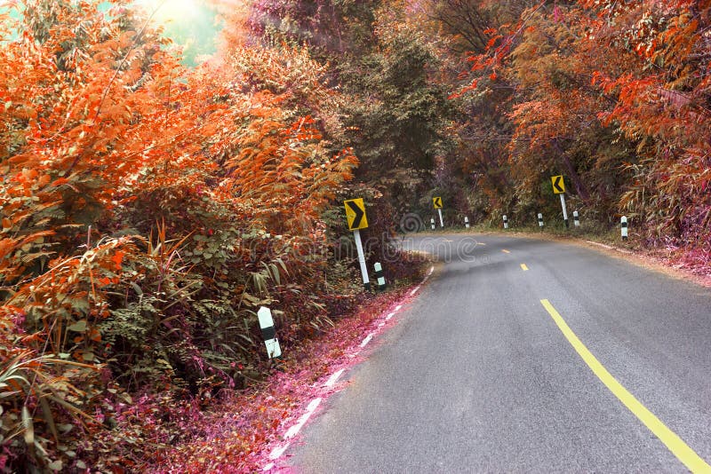 Road in the Forest with Turn Left Traffic Sign,filter Effect Stock ...