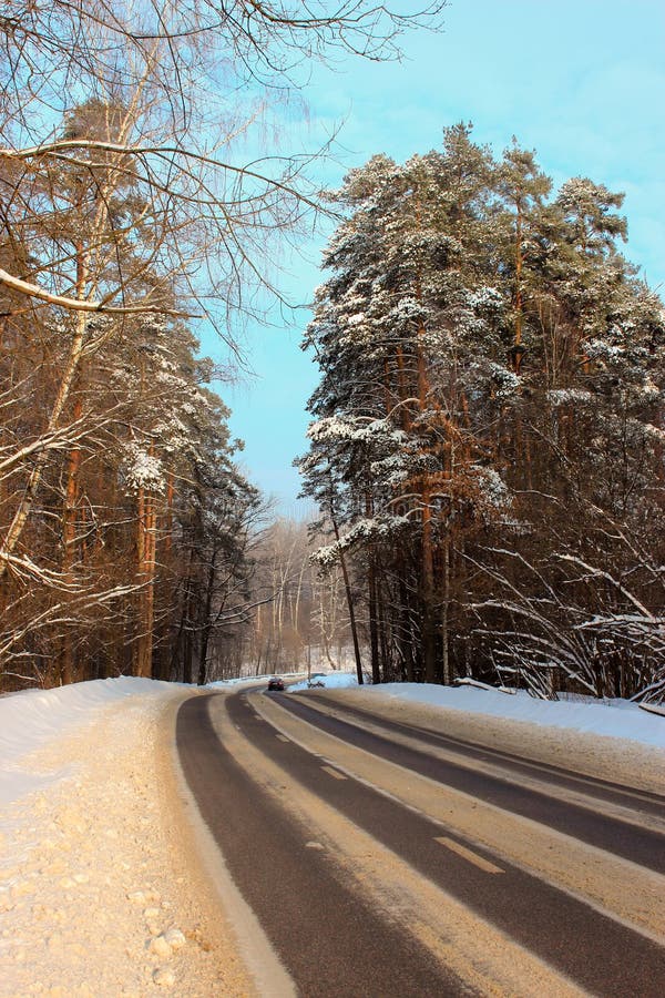 The Road through the Forest in Winter Stock Image - Image of pine ...