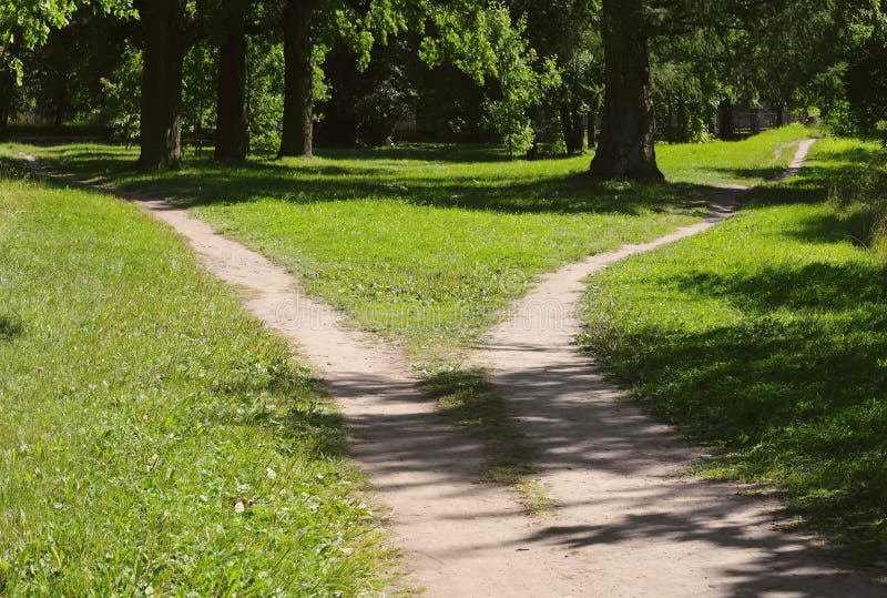 The road forks in the park stock image. Image of road - 146575205