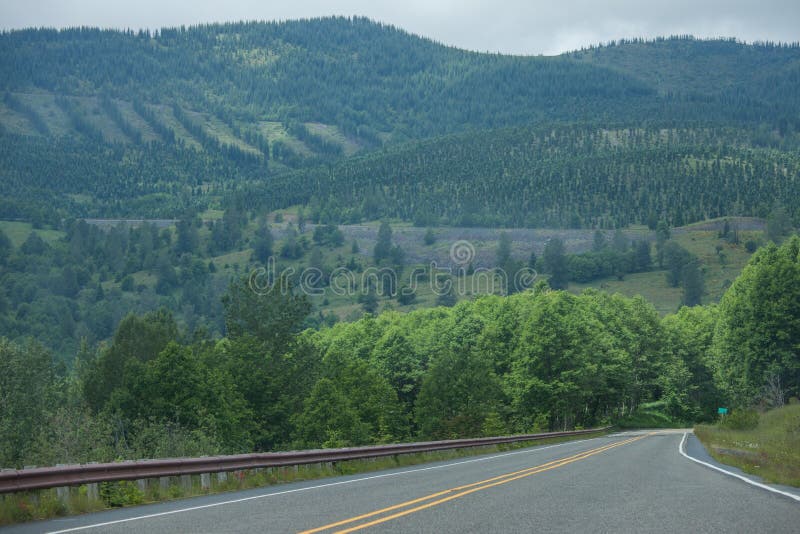Road in wilderness stock photo. Image of transportation - 191230590