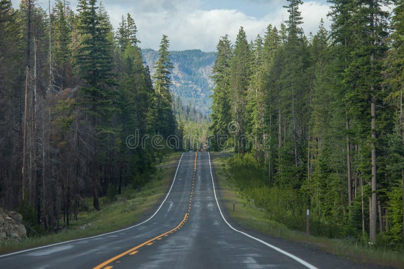 Road in wilderness stock image. Image of drive, nature - 191230183