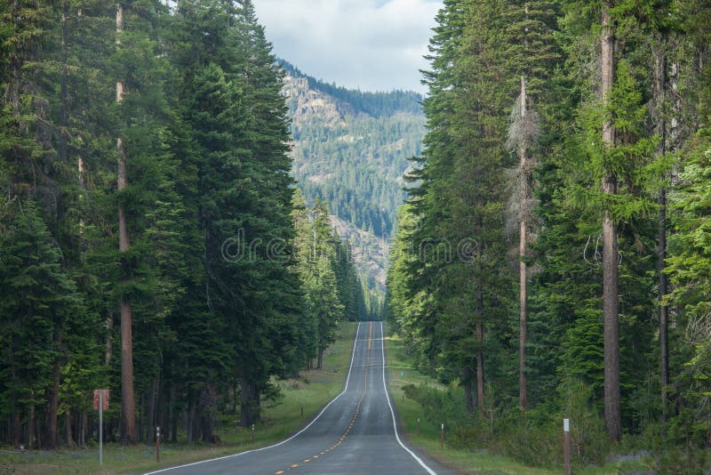 Road in wilderness stock image. Image of line, nature - 191230921