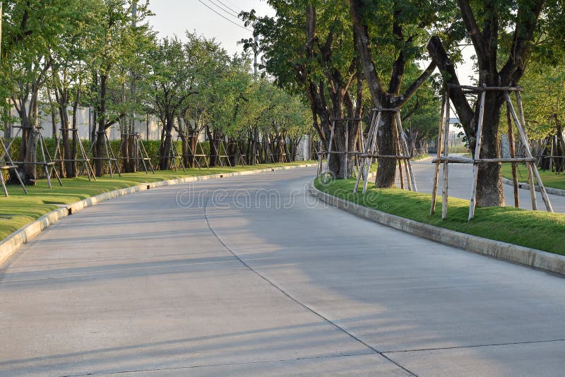 Road among the Fresh Green of Foliage Stock Image - Image of ...