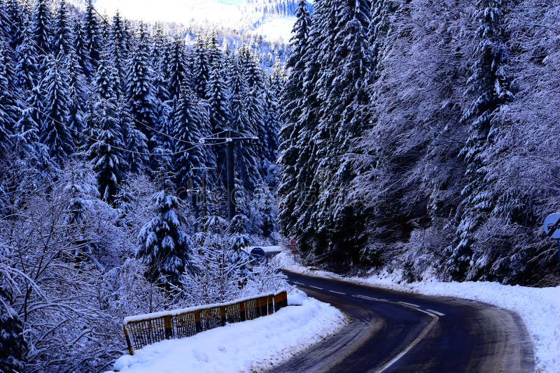 Road through the Frozen Forest Stock Image - Image of white, snow ...