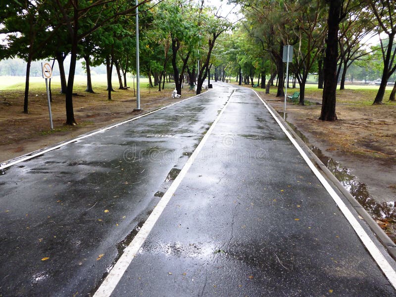 Road in the Garden after Raining Stock Photo - Image of leaf, road ...