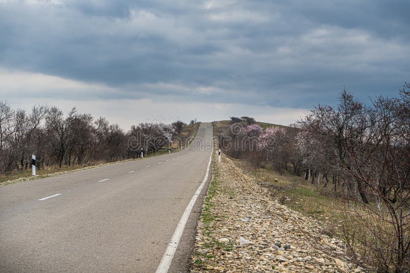 Road in Garedja desert stock image. Image of scenic - 274349047