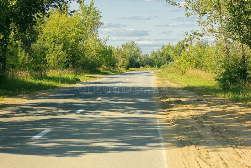 The Road Going into the Distance with a Bush on the Roadsides Stock ...
