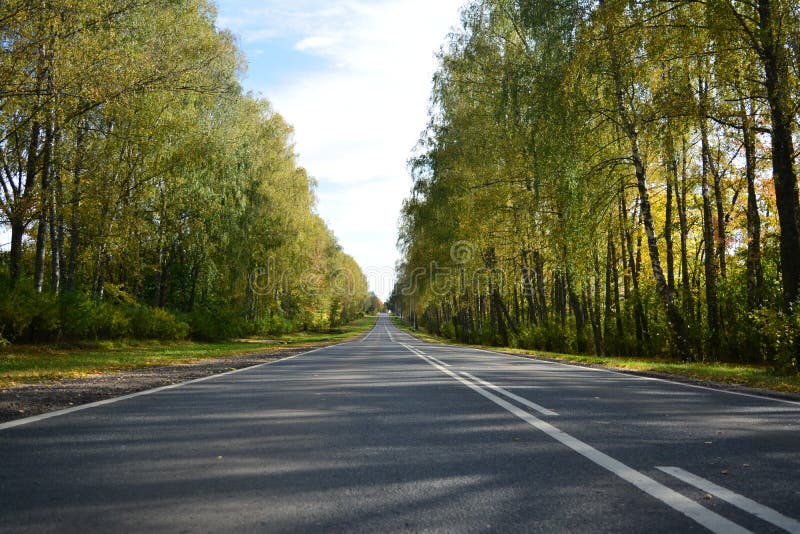 Road Going into the Distance Stock Image - Image of road, morning ...