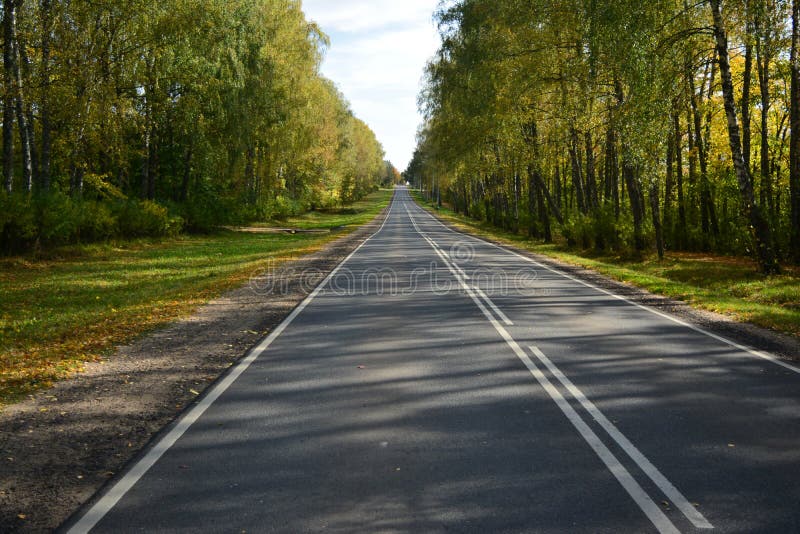 Road Going into the Distance Stock Photo - Image of trail, lane: 223643476
