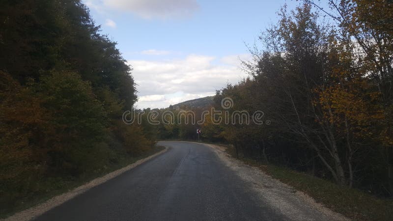 The Road Going through the Forest To the Left. Stock Image - Image of ...