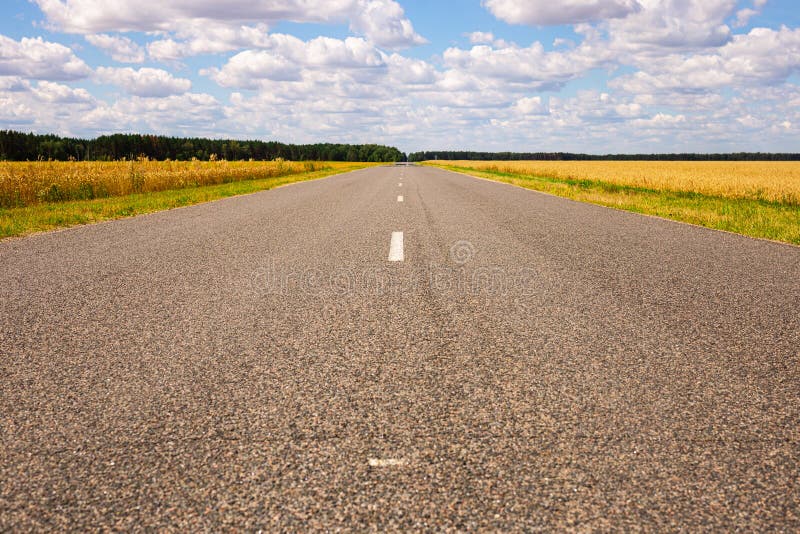Road Going into Perspective, Yellow Fields and Blue Sky with Cumulus ...