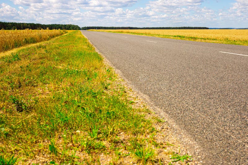 Road Going into Perspective, Yellow Fields and Blue Sky with Cumulus ...