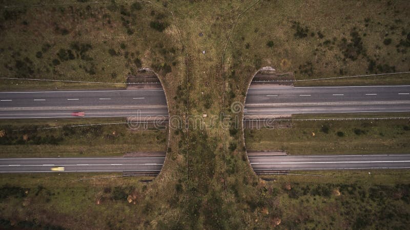 A Road Going Under Grass Path Stock Photo - Image of tourist, coast ...
