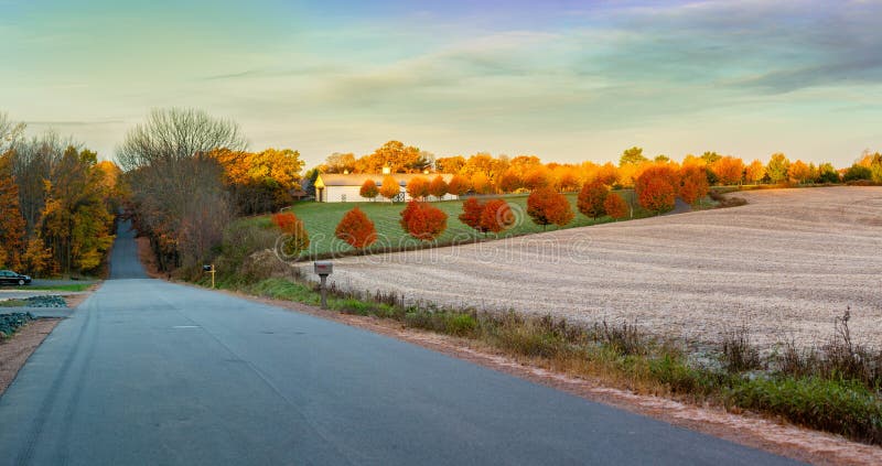 Road Going through a Wisconsin Countryside in October Stock Image ...
