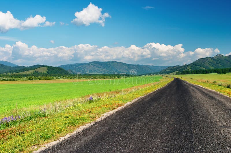 Road and green field stock photo. Image of meadow, environment - 3727142