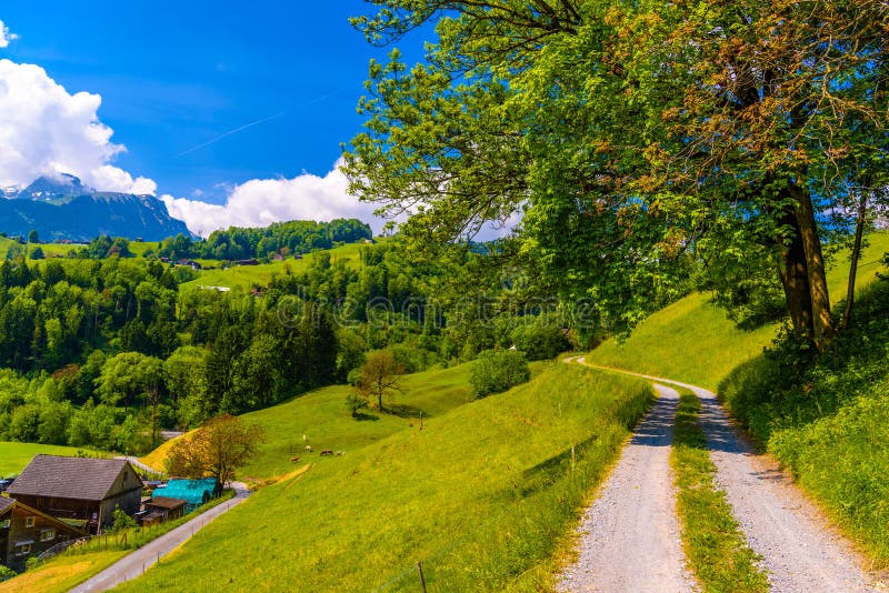 Road among Green Fields, Grabs, Werdenberg, St. Gallen Switzerland ...